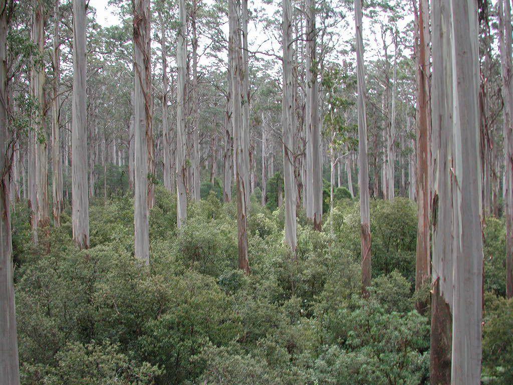 Webinar: Nature Positive Summit - key takeaways and next steps ...