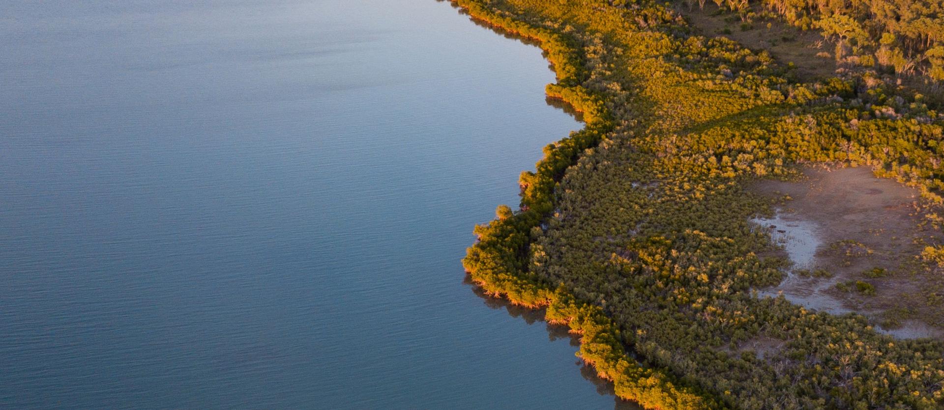 Biodiversity Council Australia