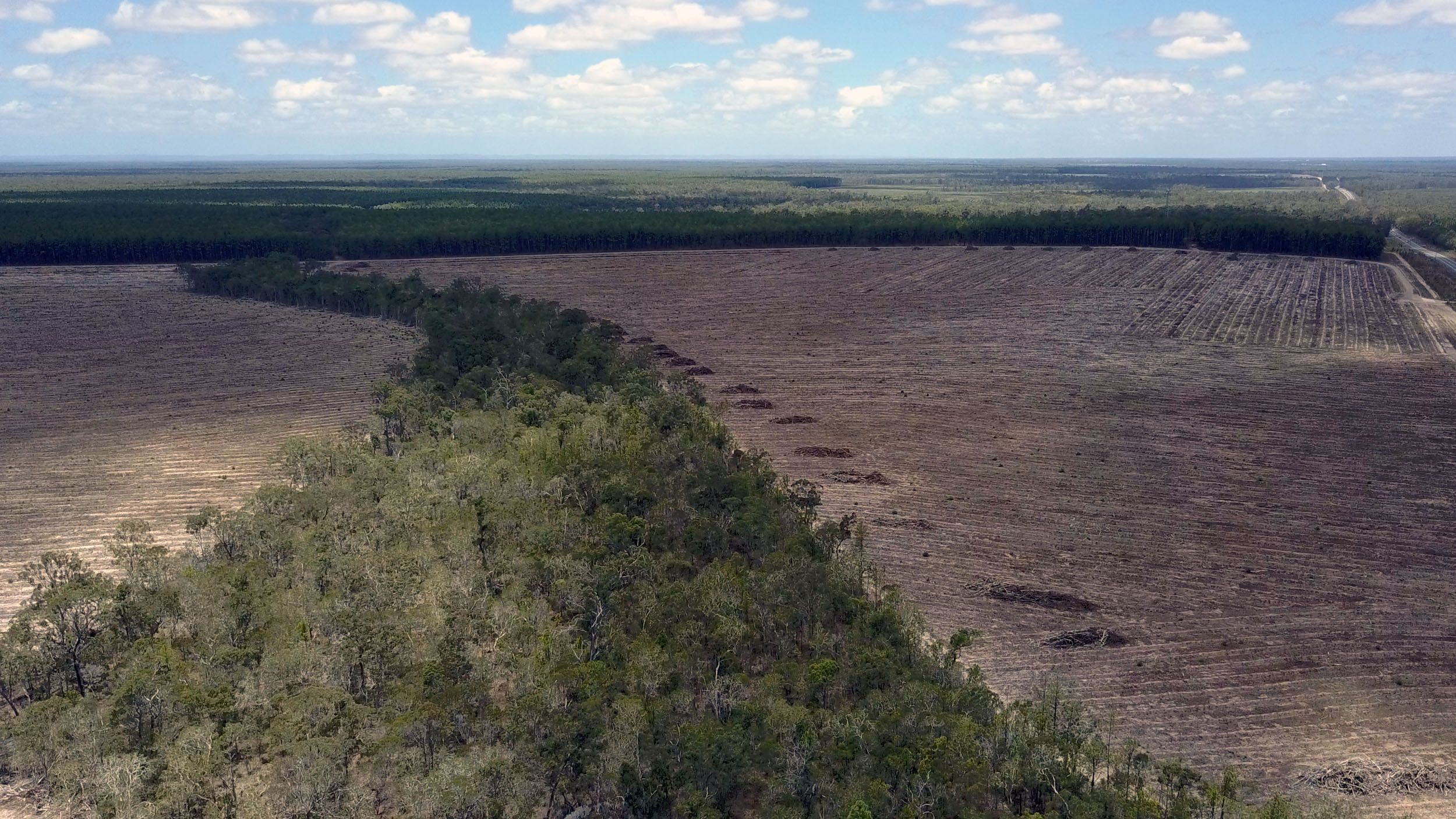 New study finds EPBC Act assessment decisions are having little effect ...