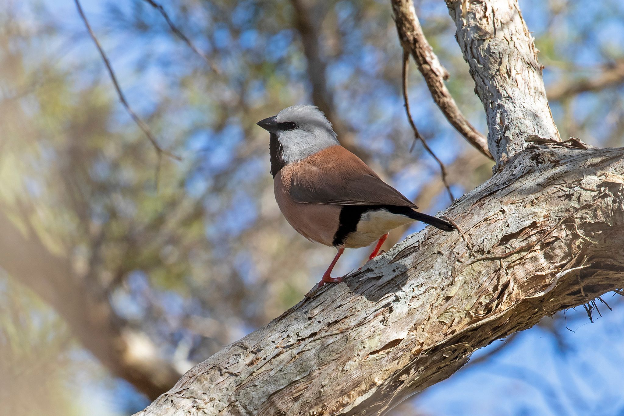 Submission to the 'A Fresh Start for Private Protected Areas ...