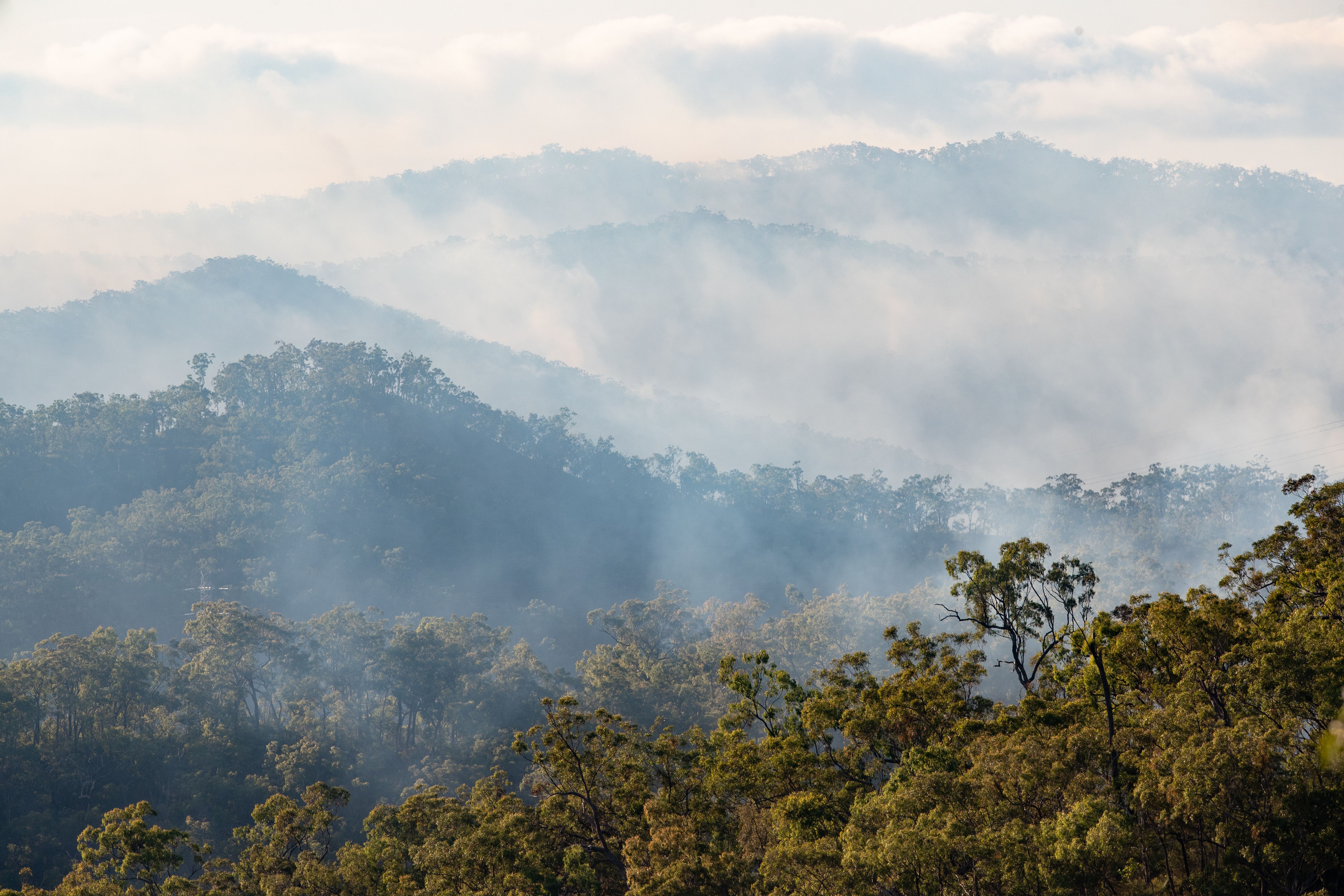 Our emissions targets are 'easy peasy' to meet by ending land clearing ...