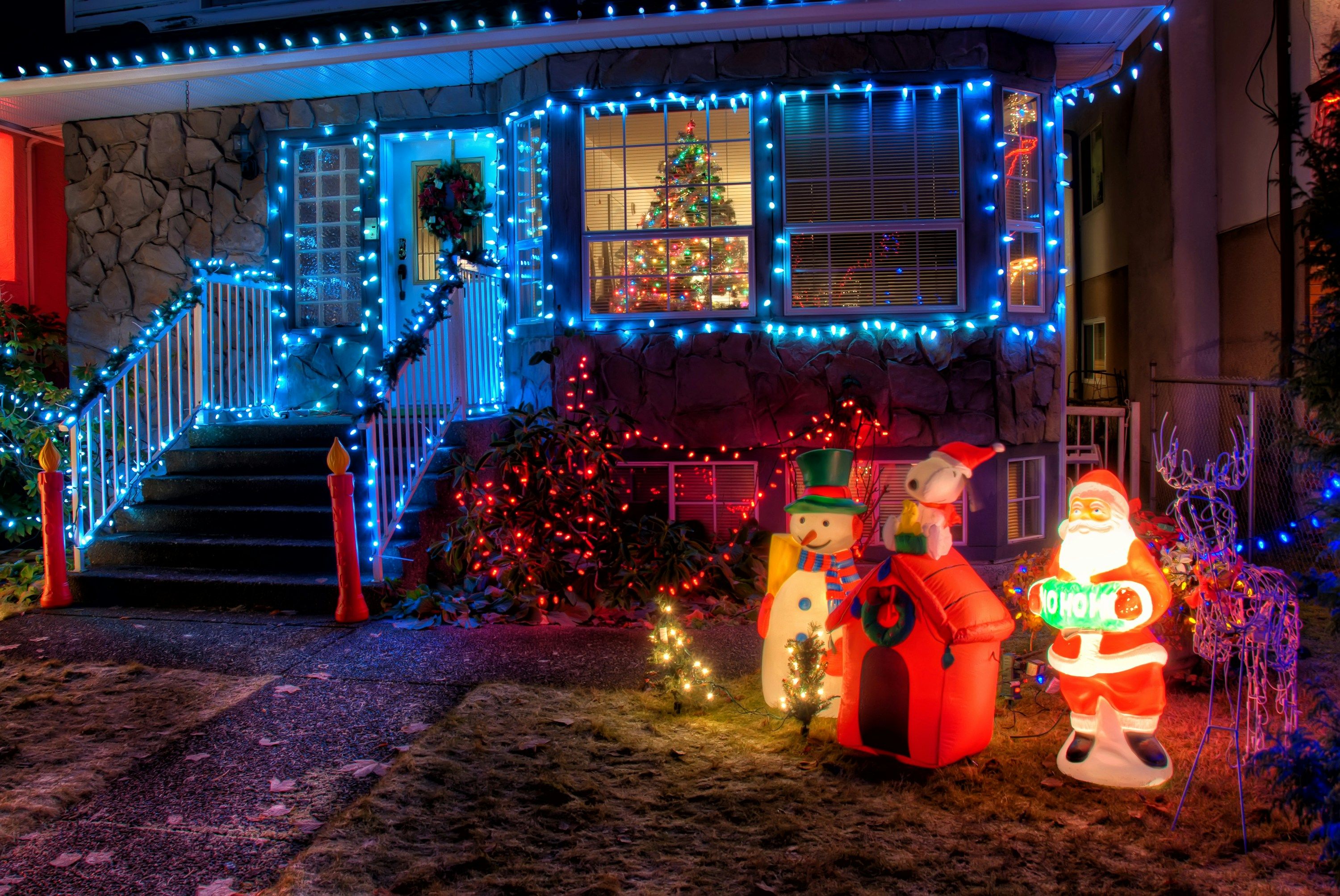 Before putting Christmas lights outside, think about our wildlife ...