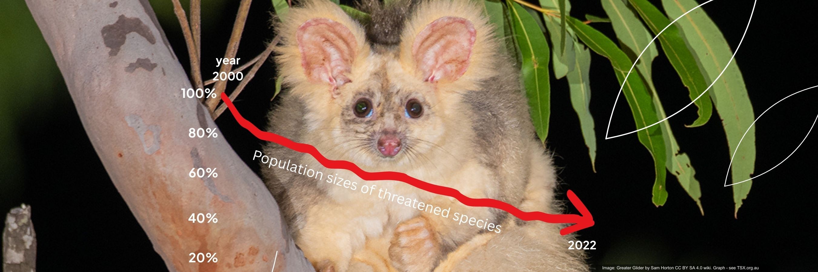This term of government will be critical for nature | Biodiversity ...