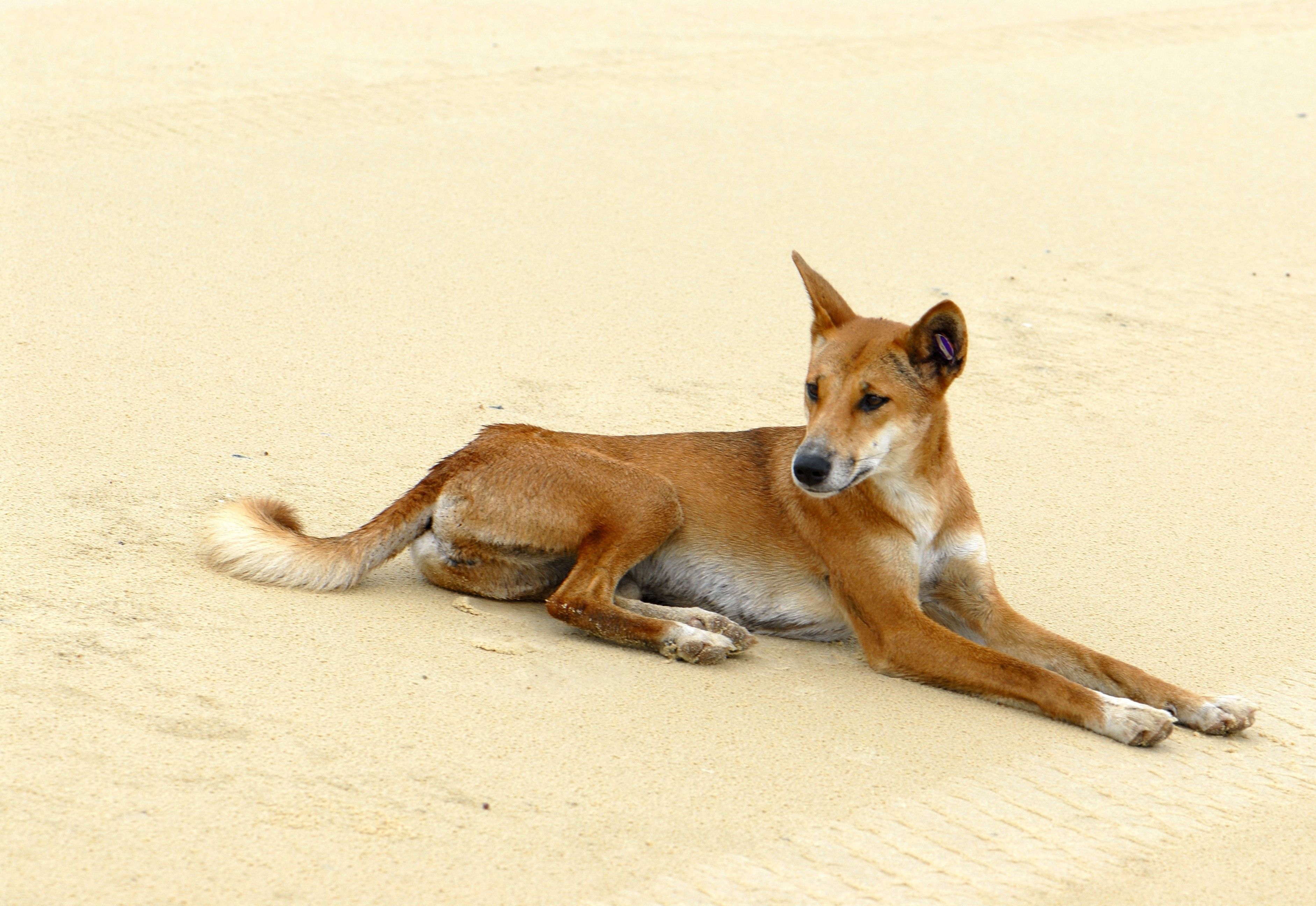 Federal environmental law reform must provide protection for culturally ...