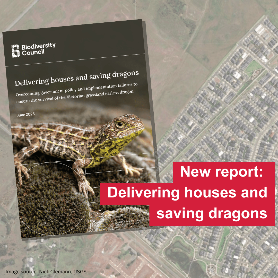 Delivering houses and saving dragons: Overcoming government policy and ...