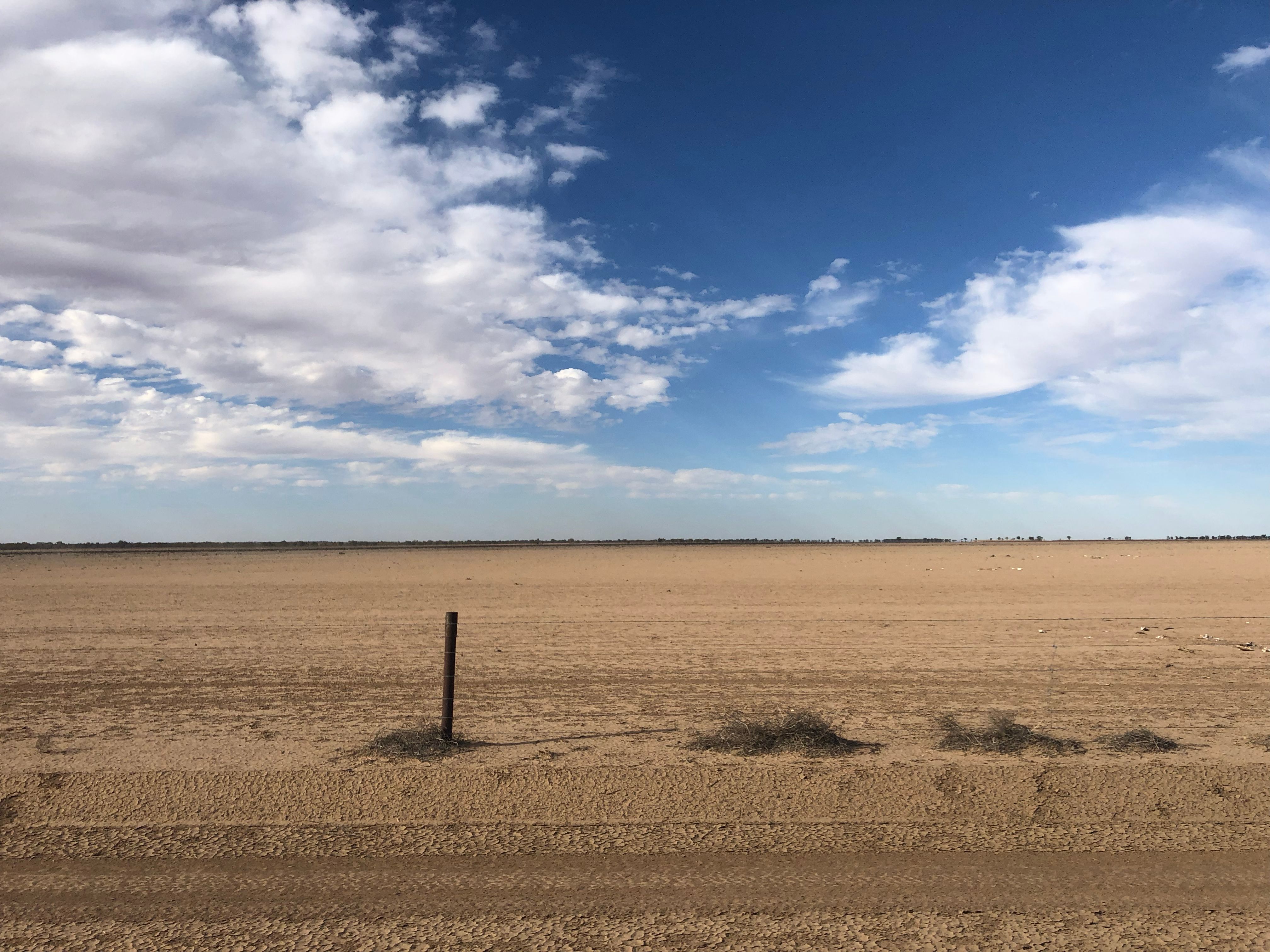 Changes to Nature Repair Bill signal positive signs for environmental ...