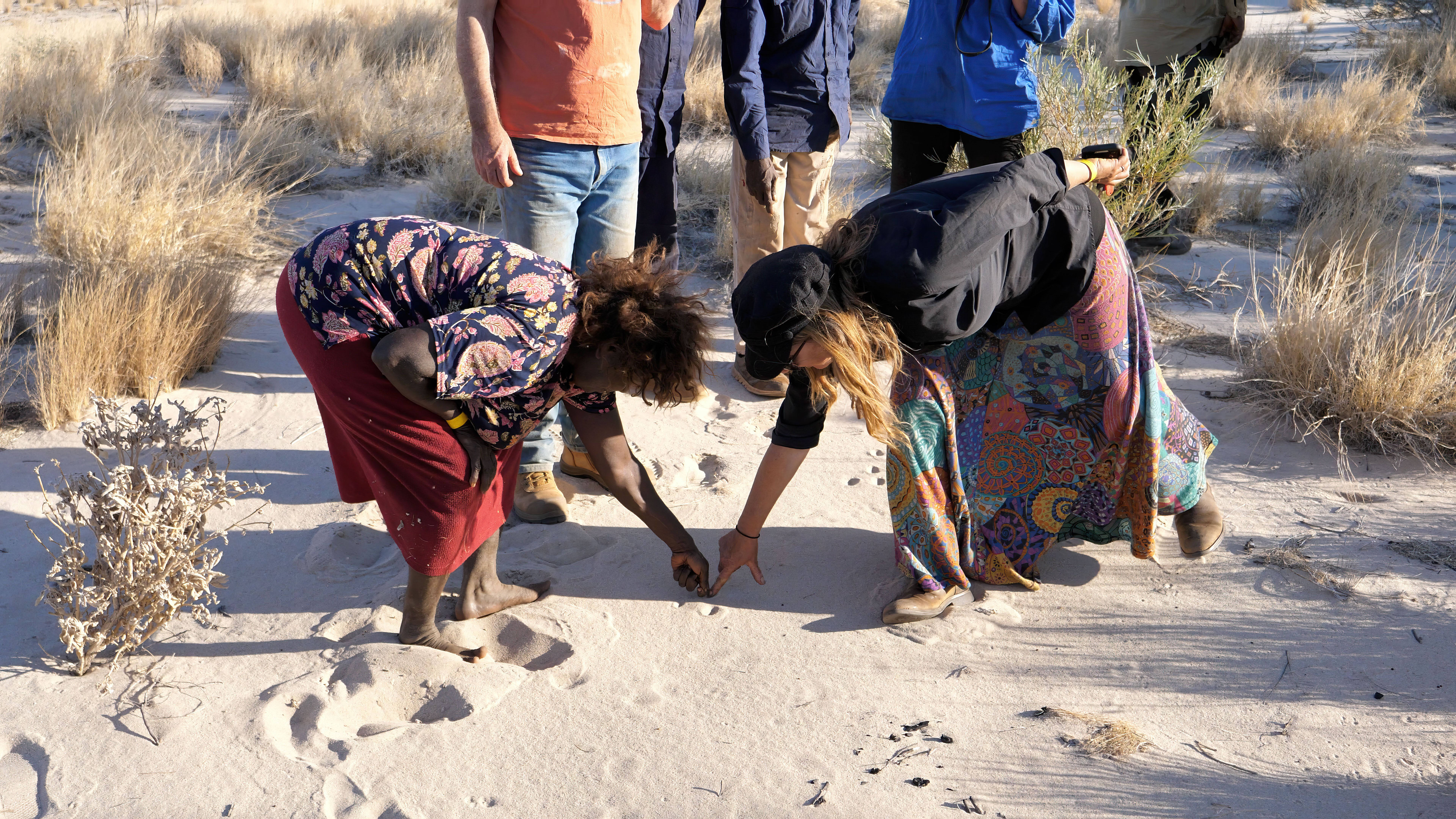 Reading desert sands – Indigenous wildlife tracking skills underpin vast monitoring project ...