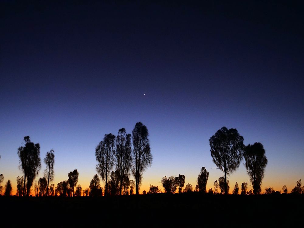 Protecting Country and conserving our Culture | Biodiversity Council ...