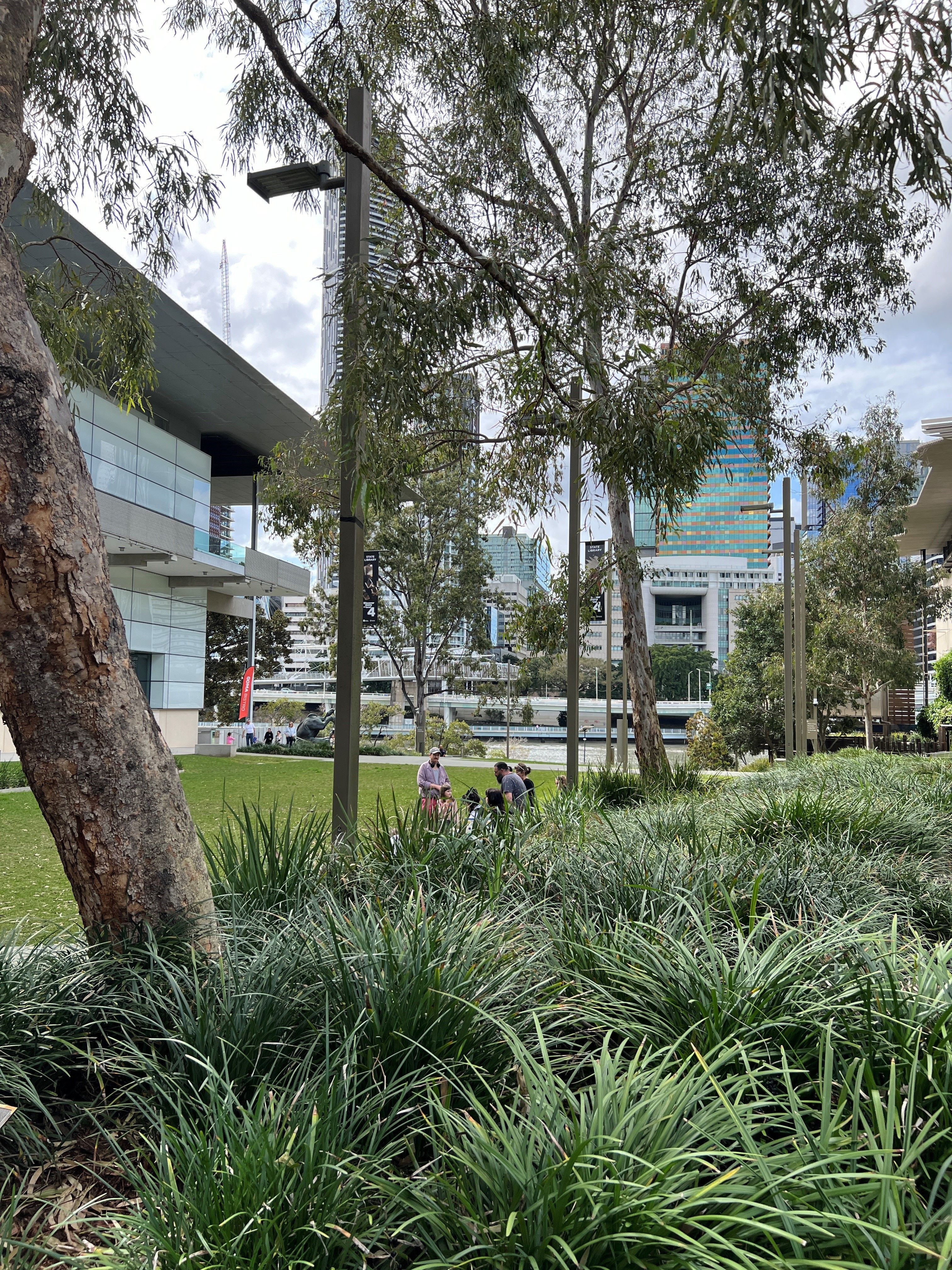Understanding Habitats and Biodiversity | Biodiversity Council Australia