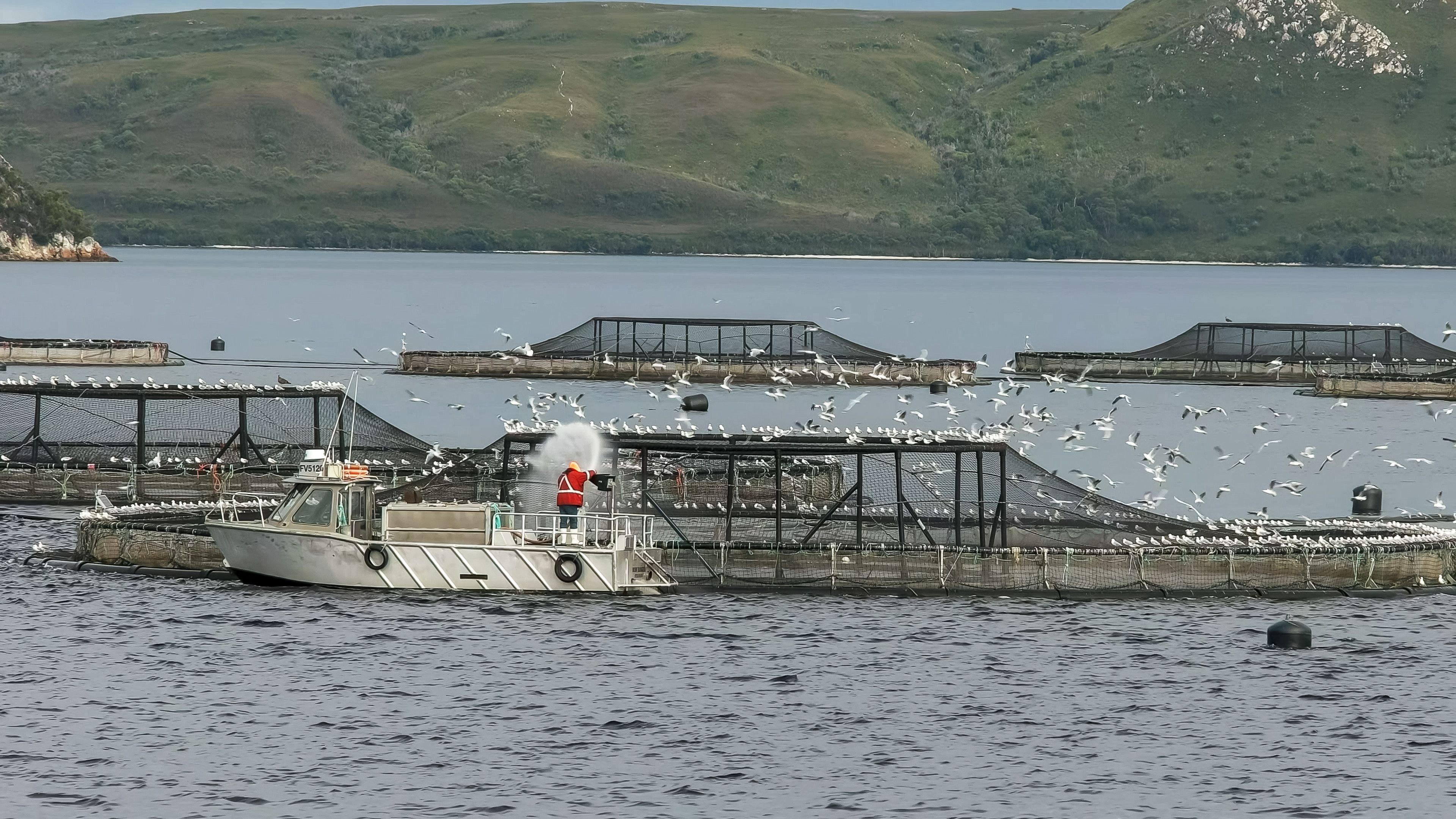 Experts slam industry carve out from environmental law being rushed ...
