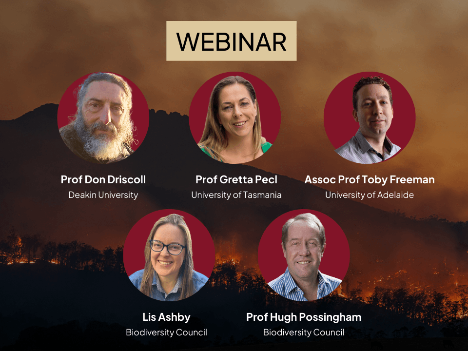 Webinar: Preparing for a more volatile future | Biodiversity Council ...